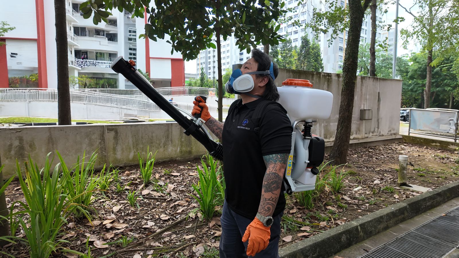 Home - Precision Pest